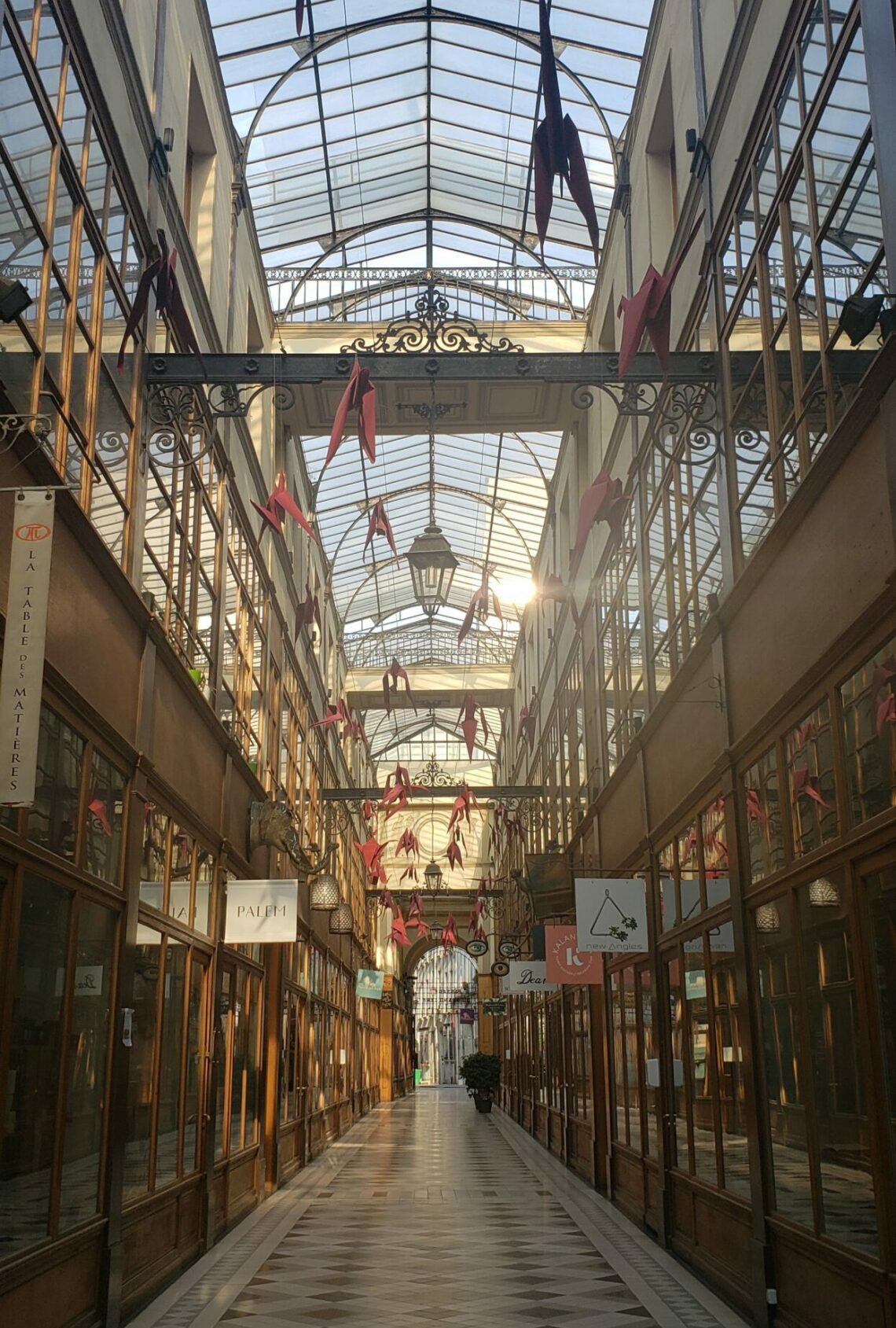 The Covered Passageways of Paris - A Buckeye in Paris